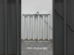 Couverture du noyau 5x5ft LM301H EVO LM281B Plein spectre 4x4ft LED Grow Lights 720W pour les plantes d'intérieur