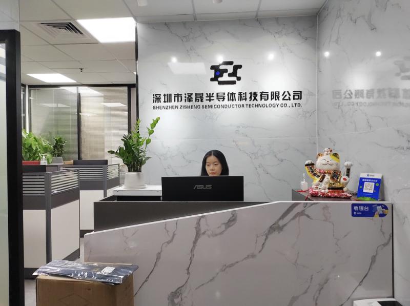 Fornitore cinese verificato - Shenzhen Zesheng Semiconductor Technology Co., Ltd.