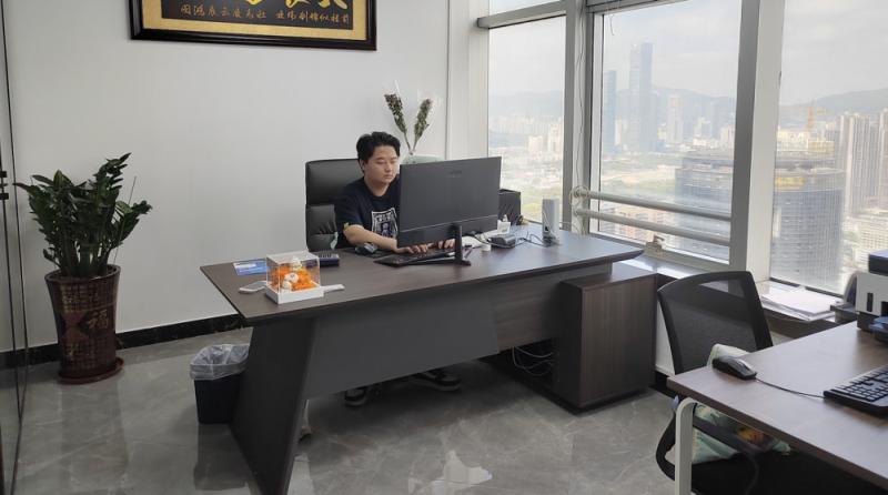 Fornitore cinese verificato - Shenzhen Zesheng Semiconductor Technology Co., Ltd.