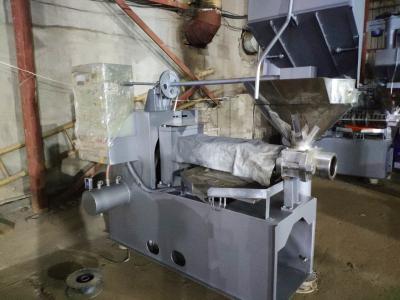중국 Cold Press Oil Extraction Machine For Castor Groundnut Sunflower Seed 판매용