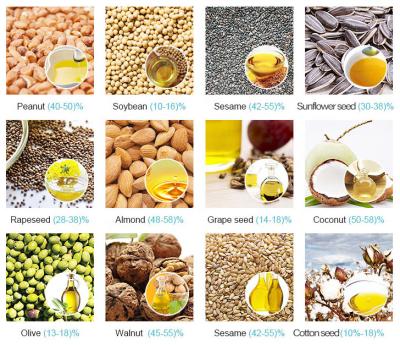 중국 Cold Press Oil Extraction Machine For Castor Groundnut Sunflower Seed 판매용