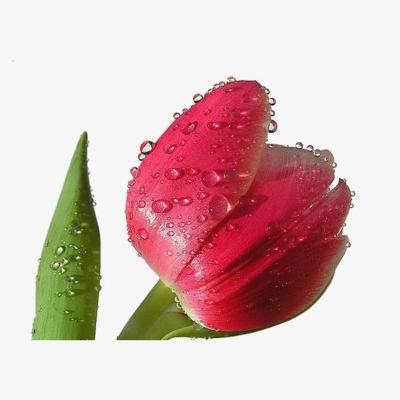 Cina Super agente bagnante SURFADOL® 607 CAS 169117-72-0 Alternativa al Dynol 607 in vendita
