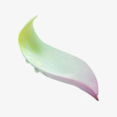 Cina Fountain Solutions Additivo bagnante dinamico SURFADOL® 604 CAS 169117-72-0 in vendita