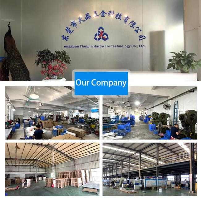 TIANPIN company overview