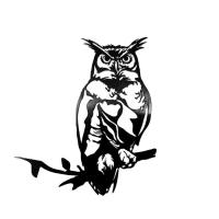 Quality Aluminum CNC Laser Cutting Products Metal Birds Black Powder Coated Garden Art Animal for sale