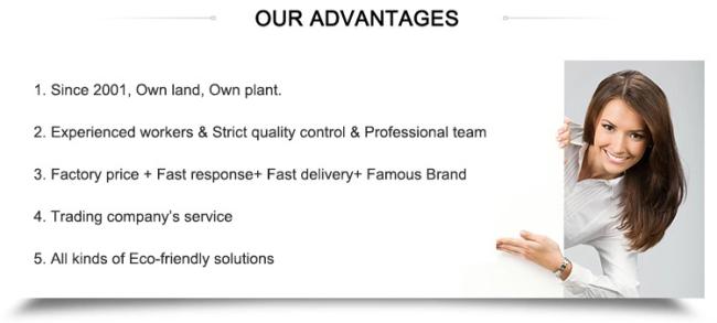 Circulating Pump for Heating System