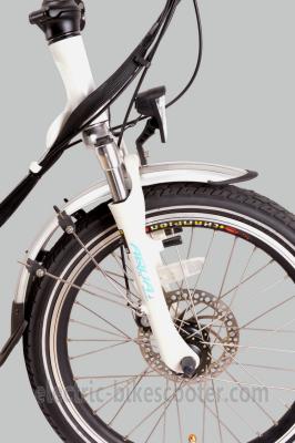 China Full Size Electric Folding Bike For Adults , Lightweight Folding Ebikes 21.5kgs for sale