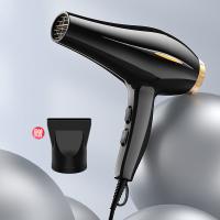Quality Barber Shop Dedicated Hair Dryer with Overheat Protection and Electric Power Source for sale