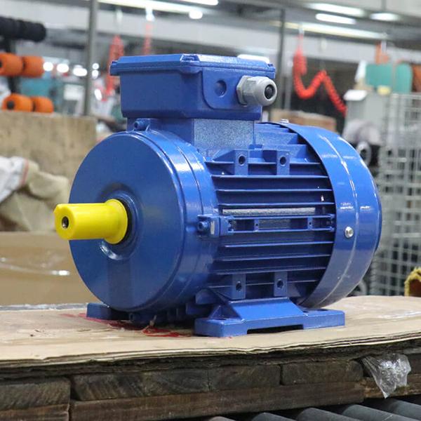 ML single phase electric motor