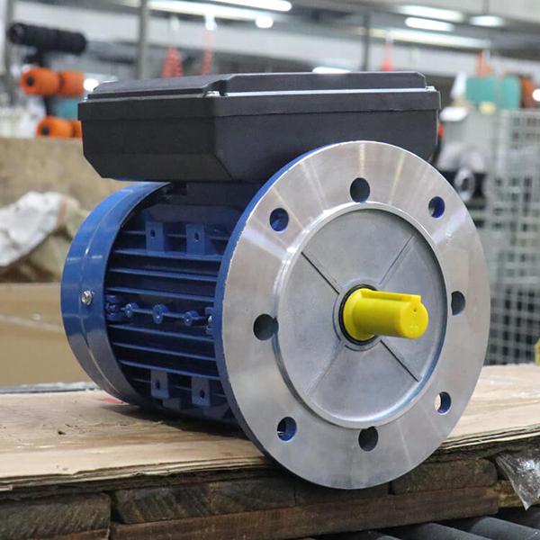 ML single phase electric motor