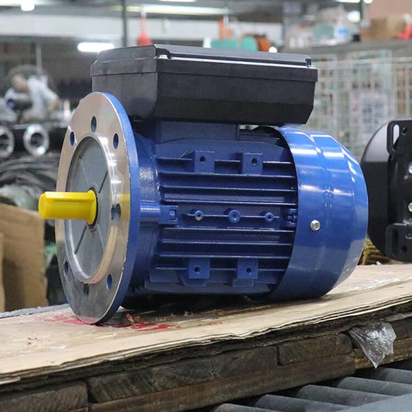 single phase dual capacitor electric motor