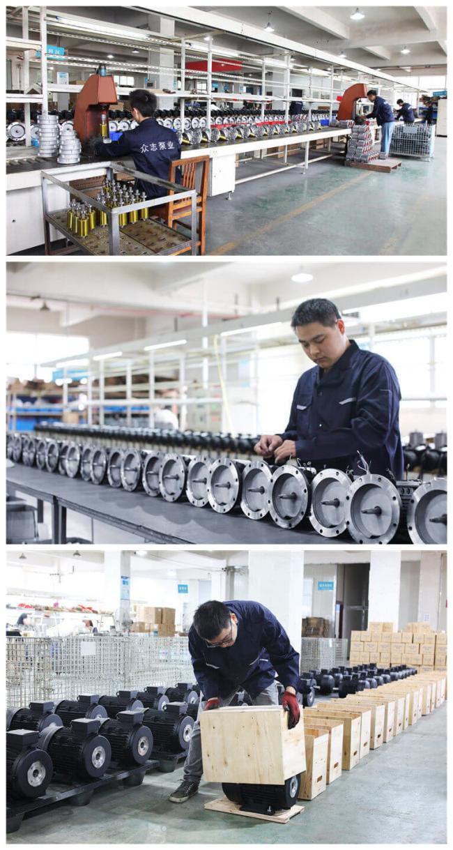 three phase electric motor