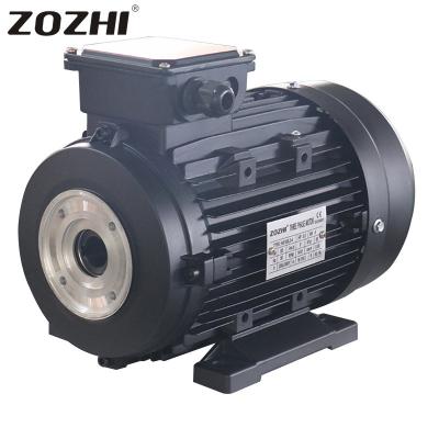 Κίνα Ηλεκτρικός κινητήρας 220V 380V 3 φάσεων κάθετος κούφου άξονα Ηλεκτρικός κινητήρας εκκίνησης προς πώληση