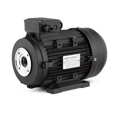Κίνα Μονοφασικός ηλεκτρικός κινητήρας 5,5 kW 230V 50HZ με κούφιο άξονα 1400 στροφές ανά λεπτό 4πόλων προς πώληση