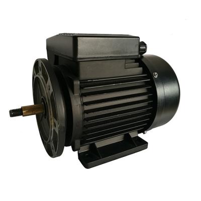 중국 0.75HP IE1 단일 위상 전동기 높은 신뢰성 수영풀 펌프 판매용