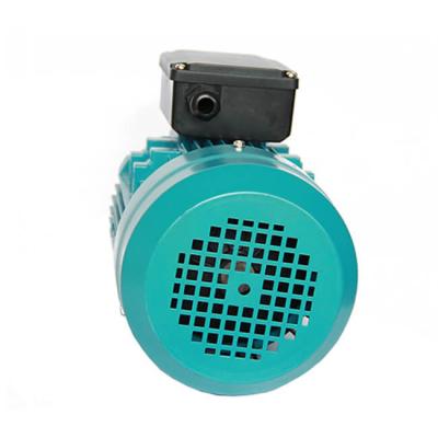 China Único motor assíncrono de 2HP 1.5KW 230V MINHA operação 2800RPM do capacitor de série à venda