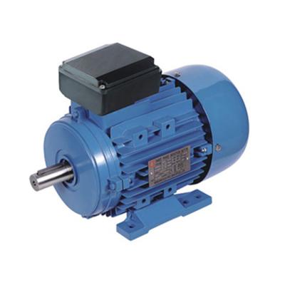 China El condensador funciona con el motor de inducción la monofásico 3kw 4hp 2800rpm 2 poste MI serie MY100L-2 en venta