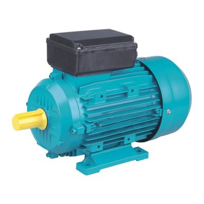 China El condensador funciona con el motor de inducción la monofásico 3kw 4hp 2800rpm 2 poste MI serie MY100L-2 en venta