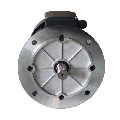 중국 IE3 2.2KW 3HP 농형 알루미늄 모터 MS100L1-4 판매용
