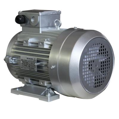 Κίνα Ελαφρύς 5.5kw / 7.5hp κούφιος κινητήρας άξονα κατάλληλος για διάφορες βιομηχανικές εφαρμογές προς πώληση