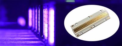 中国 UVA UVB UVC 20W 50W 200W LEDの配列の破片3535紫外線治癒のための3838 405nm 販売のため