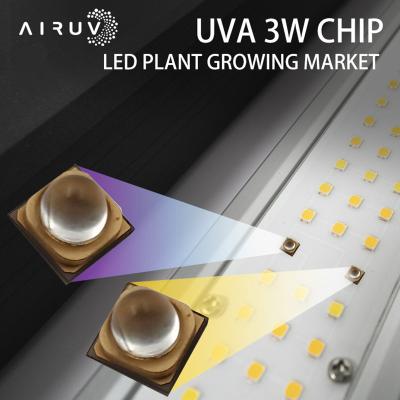 중국 핫 케이크처럼 팔 3838 Smd UvA LED 칩 365-395nm UV 치료 칩 LED 판매용