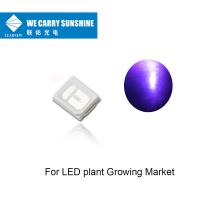 中国 長い寿命UVAはLEDの植物の成長のための395-405nm 150-200mW紫外線LEDの破片を導いた 販売のため