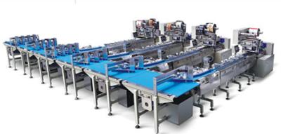 China Línea de envasado automática de la comida de la galleta de la galleta alimentación de la galleta de la torta y línea de embalaje del bolso en venta