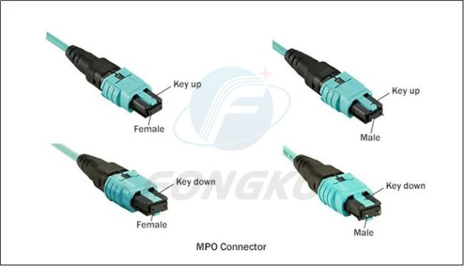 12 Fiber MPO LC Fanout Cable OM3 To 0.9mm MM Fiber Optic Patch Cord 3
