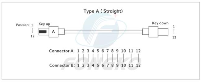 12 Fiber MPO LC Fanout Cable OM3 To 0.9mm MM Fiber Optic Patch Cord 6