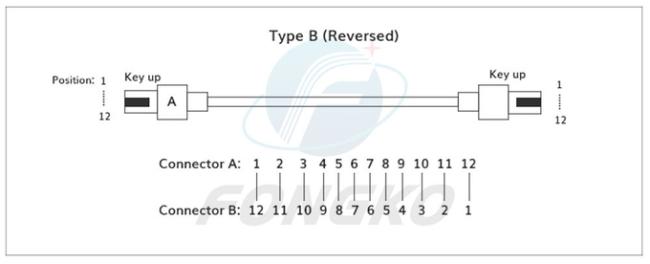 12 Fiber MPO LC Fanout Cable OM3 To 0.9mm MM Fiber Optic Patch Cord 7