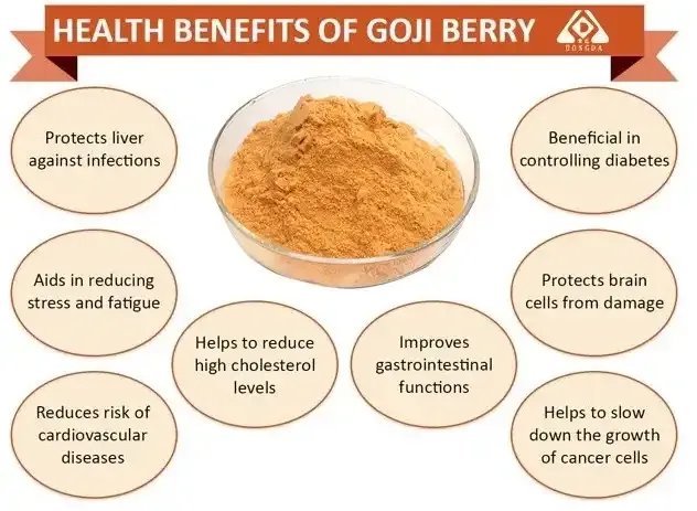 Wolfberry Extract Benefits: Wolfberry Extract Benefits: