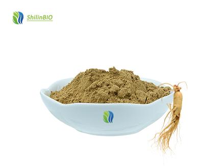 China Factory Wholesale High Quality Ginseng Extract Powder 5%-80% Ginsenosides for sale