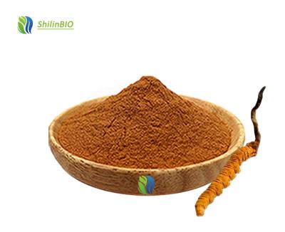 China Cordyceps Sinensis Extract Powder 30-50% Cordyceps Polysaccharide for sale