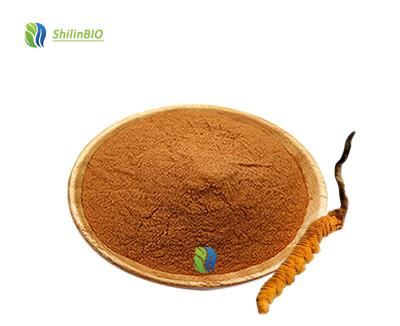 China Cordyceps Sinensis Extract Powder 30-50% Cordyceps Polysaccharide for sale