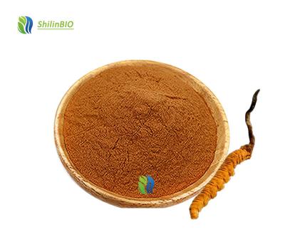 China Cordyceps Sinensis Extract Powder 30-50% Cordyceps Polysaccharide for sale