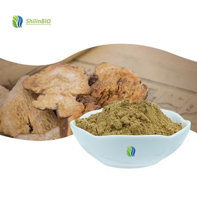 China SLBIO Supply Food Grade 5:1 10:1 20:1 Atractylodes Macrocephala Extract for sale