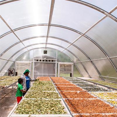 Cina 8x20m asciugatrice solare serra asciugatrice solare serra per pesce frutta 4.0 (1 recensione) in vendita