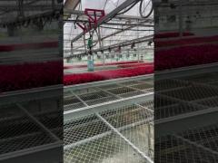 다단계 금속 프레임 고 내구성 베놀 유리 온실