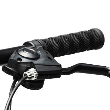 Κίνα 250W 750w Electric City Bike 16.5AH Battery Dual Motor For Adults προς πώληση