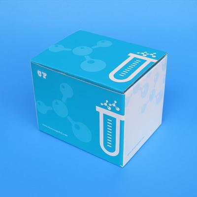 Cina Alto isolamento acido nucleico Kit For Virus di sensibilità 125mL in vendita