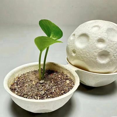 China Eco Friendly Pulp Molded Gift Box Round Biodegradable Storage Container for sale