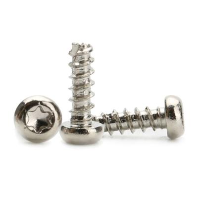 Cina Self Tapping Thread Forming Small Head Torx Plastic PT Screw in vendita