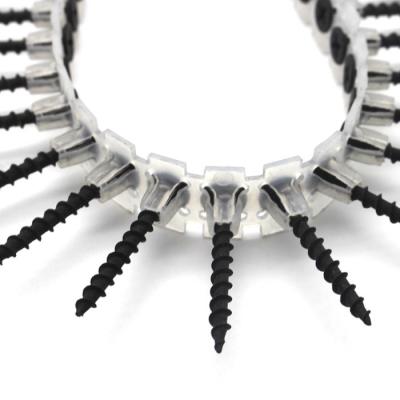 China Plastic Strip Collated Black Phosphated Drywall Screw Nail For Installation à venda