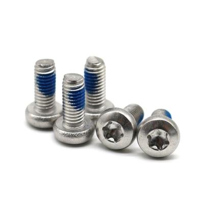 Cina Stainless Steel DIN Pan Head Nylon Torx Screw Locking Screws in vendita