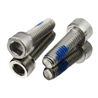 Cina Stainless Steel M2 M4 M6 M8 Socket Head Cup Screws in vendita