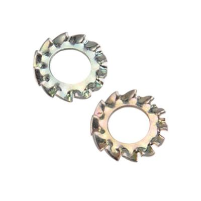 Cina Fastener Hardware Assorted Custom Copper Washer Stainless Steel External Teeth Serrated Wave Spring Shim Washer in vendita