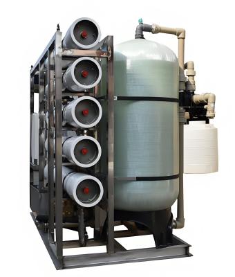 Duplex Steel 2205 Seawater Desalination System Siemens PLC Control 100-1000M3