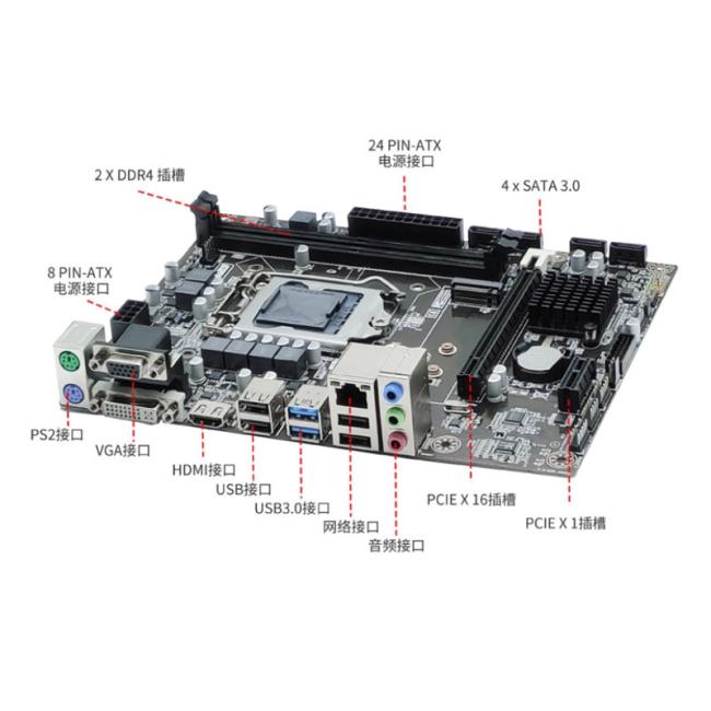 H310 motherboard with scale reference for size