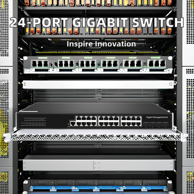 Network switch interface details